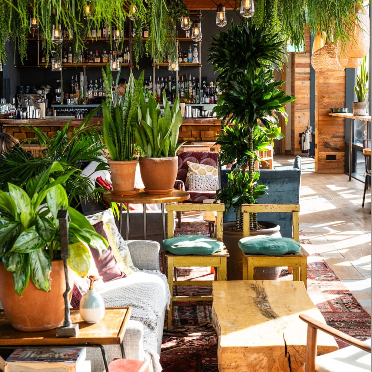Madera At Treehouse Serves London